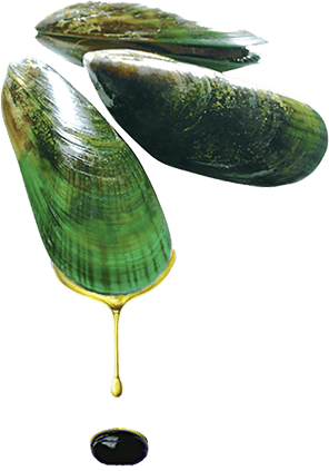 Antiinflamator complet natural! - Doctor MiT