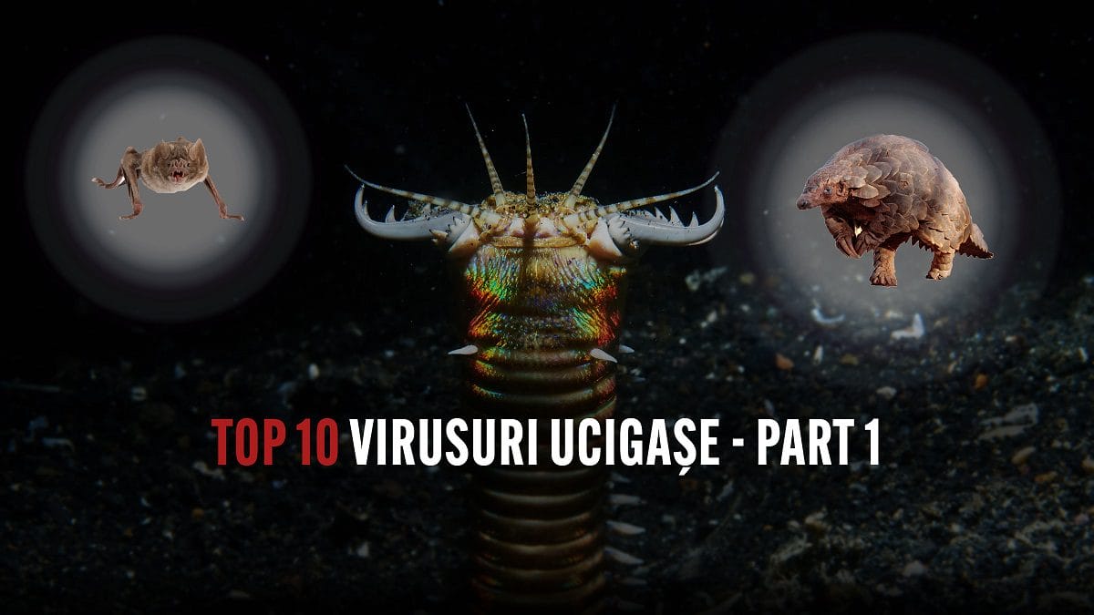 TOP 10 virusuri ucigase - PART. 1 - Doctor MiT